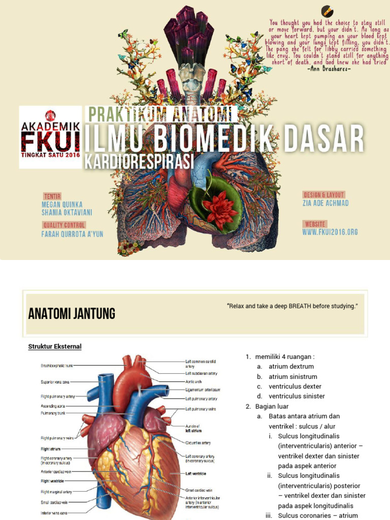 Praktikum Ibd 7 - Kardiorespirasi | PDF
