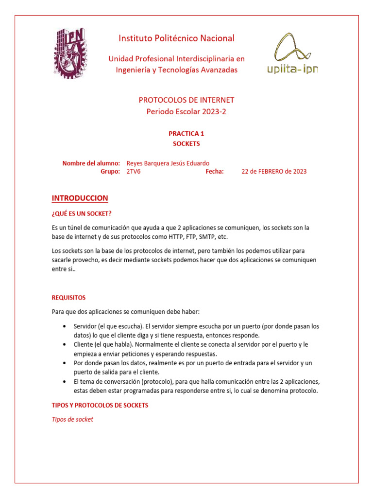 Reporte P1-Reyes Barquera | PDF | Zócalo de red | Informática
