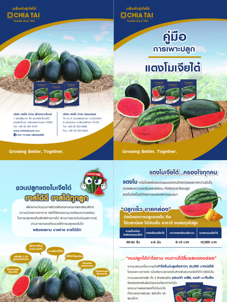 Watermelon Cultivation Overview | PDF