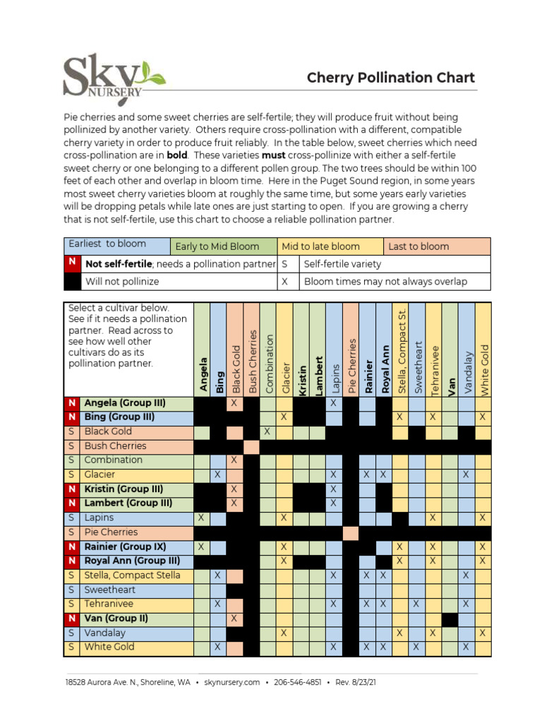 Pollination Chart Cherry | PDF | Cherry | Fruit