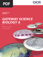 A Level Biology Specification From 2025 (Printable) | PDF | Cell ...