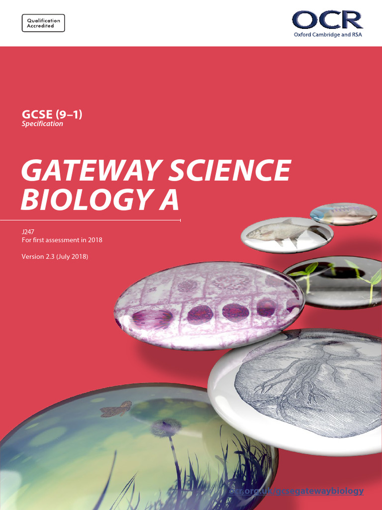 Specification Accredited Gcse Gateway Science Suite Biology A j247 | PDF | Life | Cell (Biology)