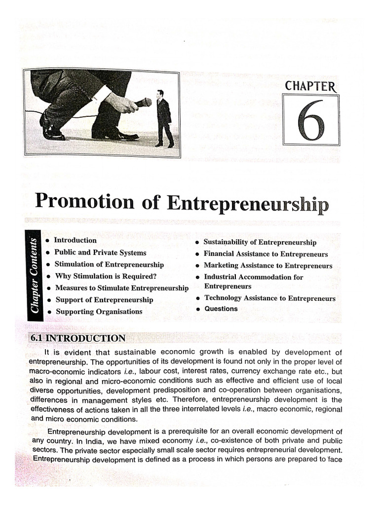 Promoting Entrepreneur | PDF | Entrepreneurship | Private Sector
