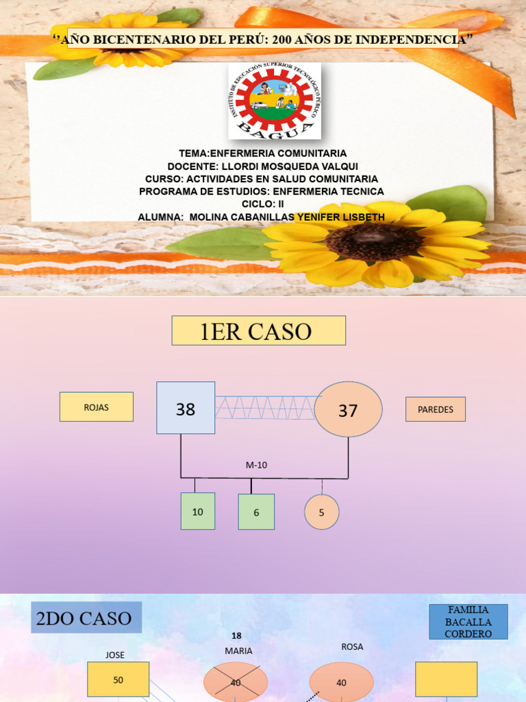 Instrumentos de Valoracion Familiar - Yenifer | PDF