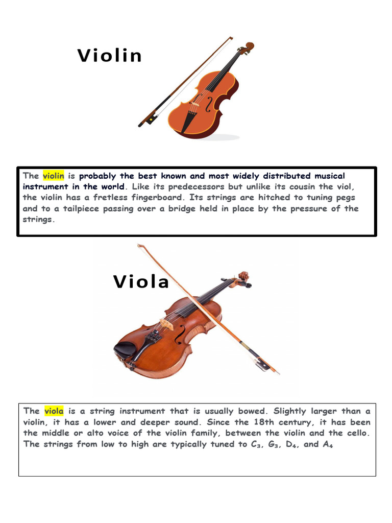 INSTRUMENTS | PDF | Woodwind Instruments | String Instruments