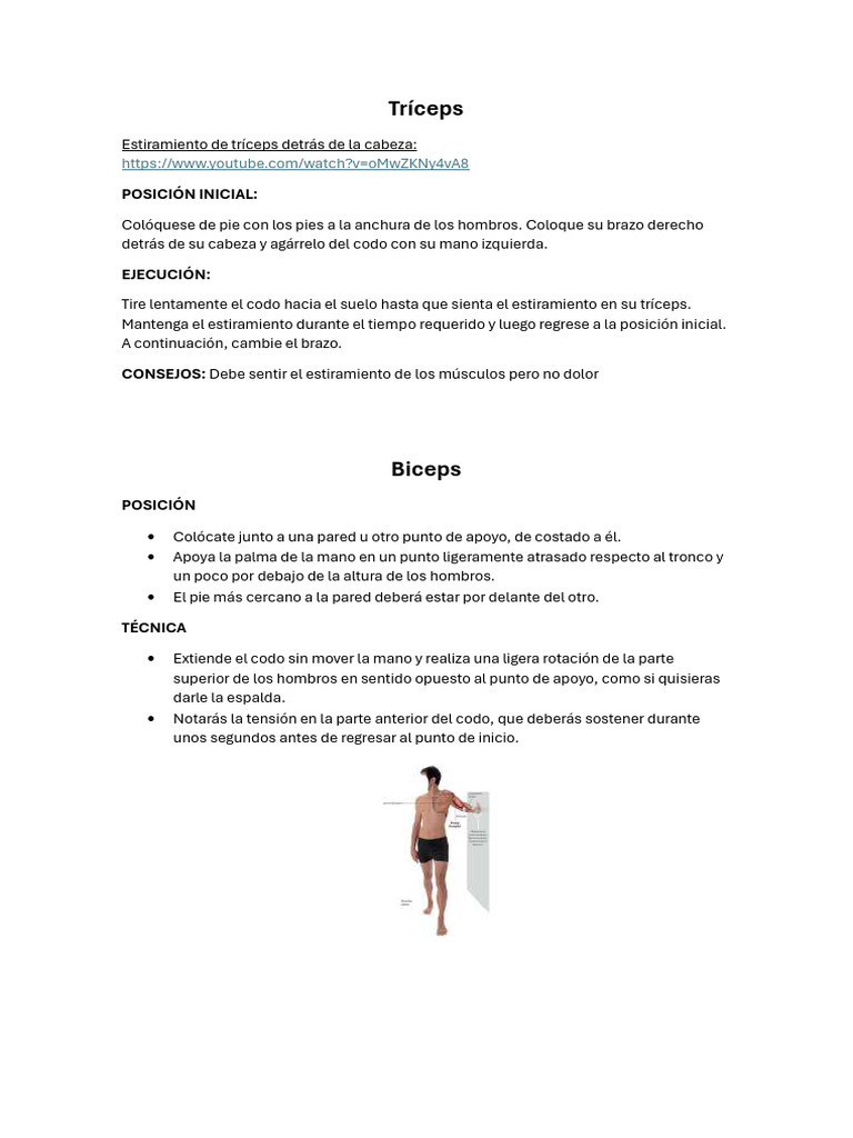 Estiramientos de Tríceps, Bíceps y Piernas | PDF | Codo | Pie