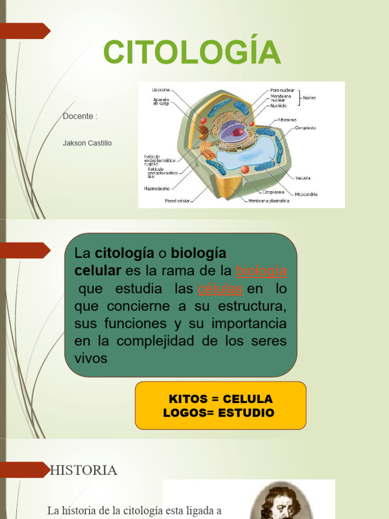 CITOLOGIA | PDF | Biología Celular) | Organismos