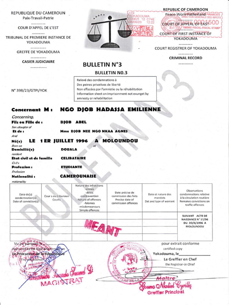 EXTRAIT DE CASIER JUDICIAIRE | PDF