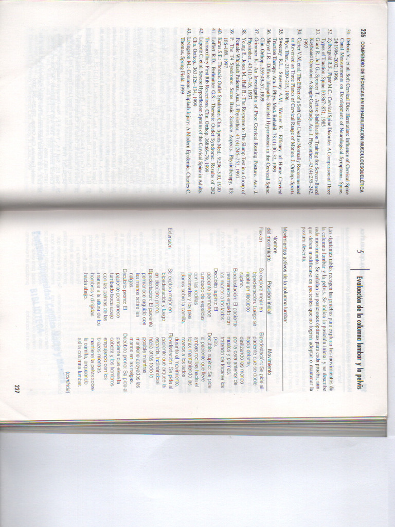 Capitulo 5. Paul Goodyer | PDF