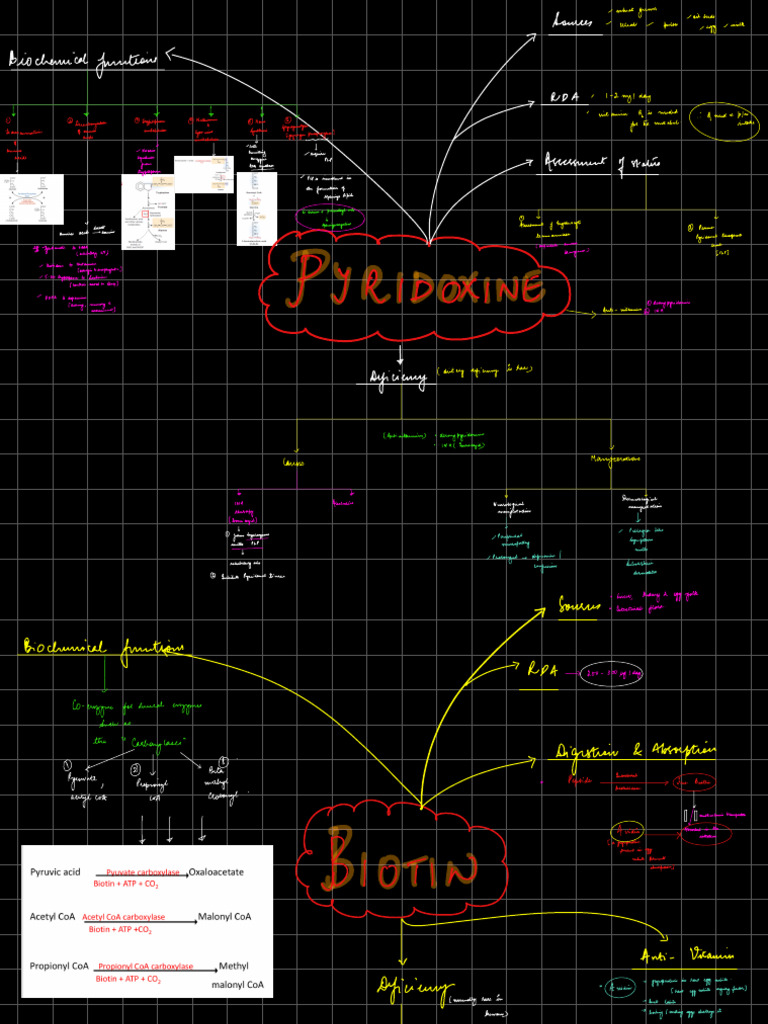 Gracy Mathai: Biochemical Functions Overview | PDF | Natural Products ...