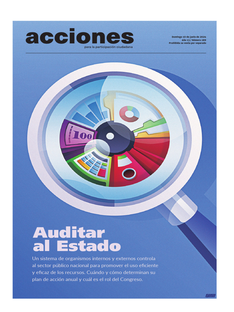 Auditar Al Estado | PDF | Auditoría | Multa (pena)