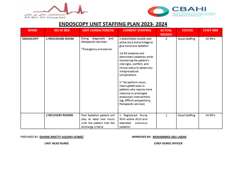 Endoscopy Staffing Plan 2023 - 2024 | PDF | Endoscopy | Nursing