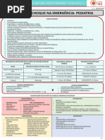 5Hs e 5Ts Da PCR | PDF | Coração | Sangue