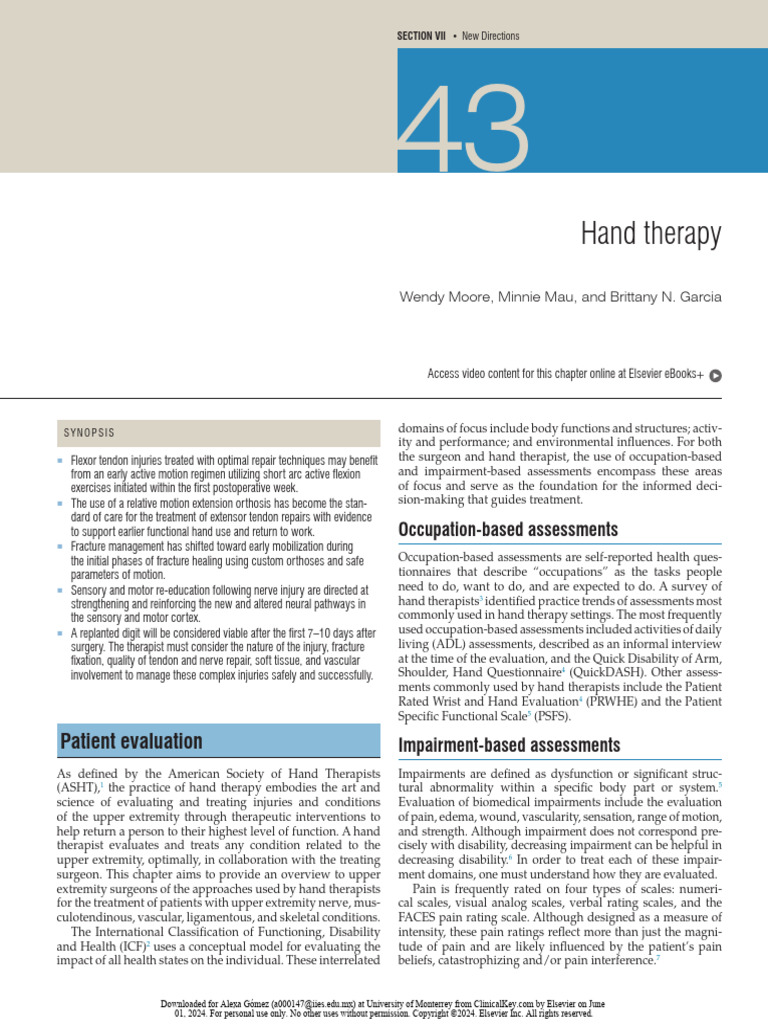 Hand therapy | PDF | Thumb | Hand