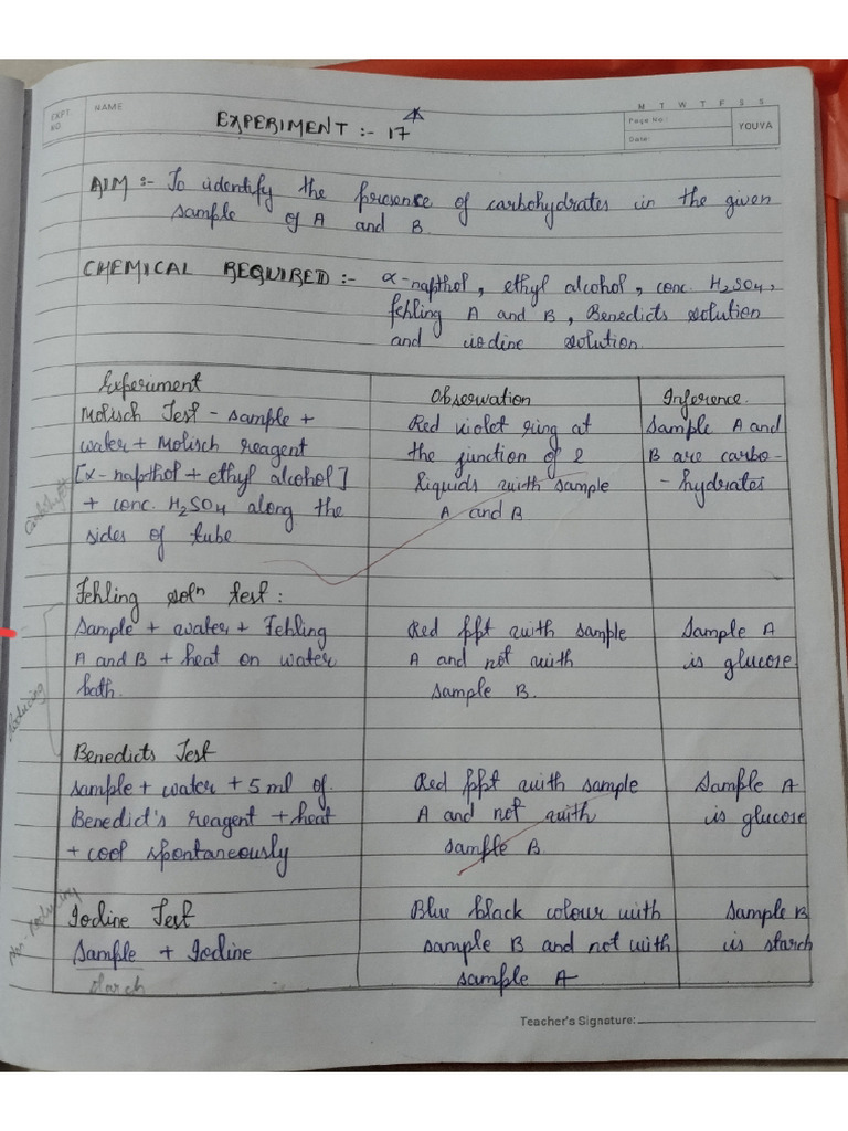Chemistry Practicals | PDF