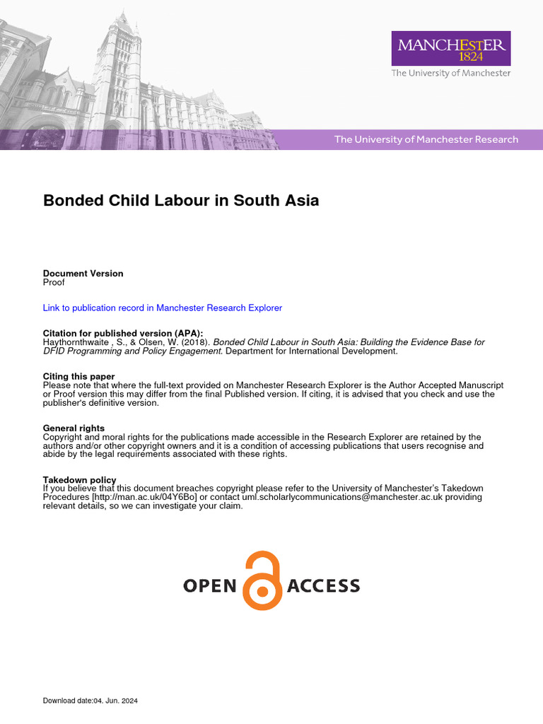 Final DFID BCL Report | PDF | Child Labour | Labour Economics