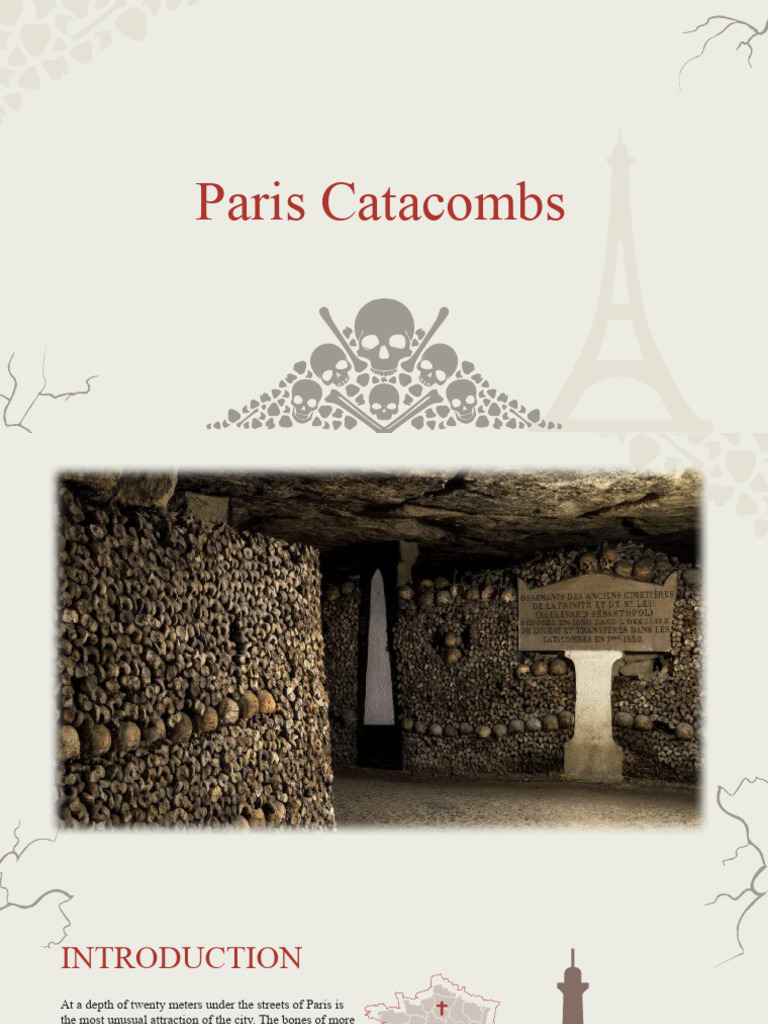Paris Catacombs: History & Facts | PDF | Social Science | Art