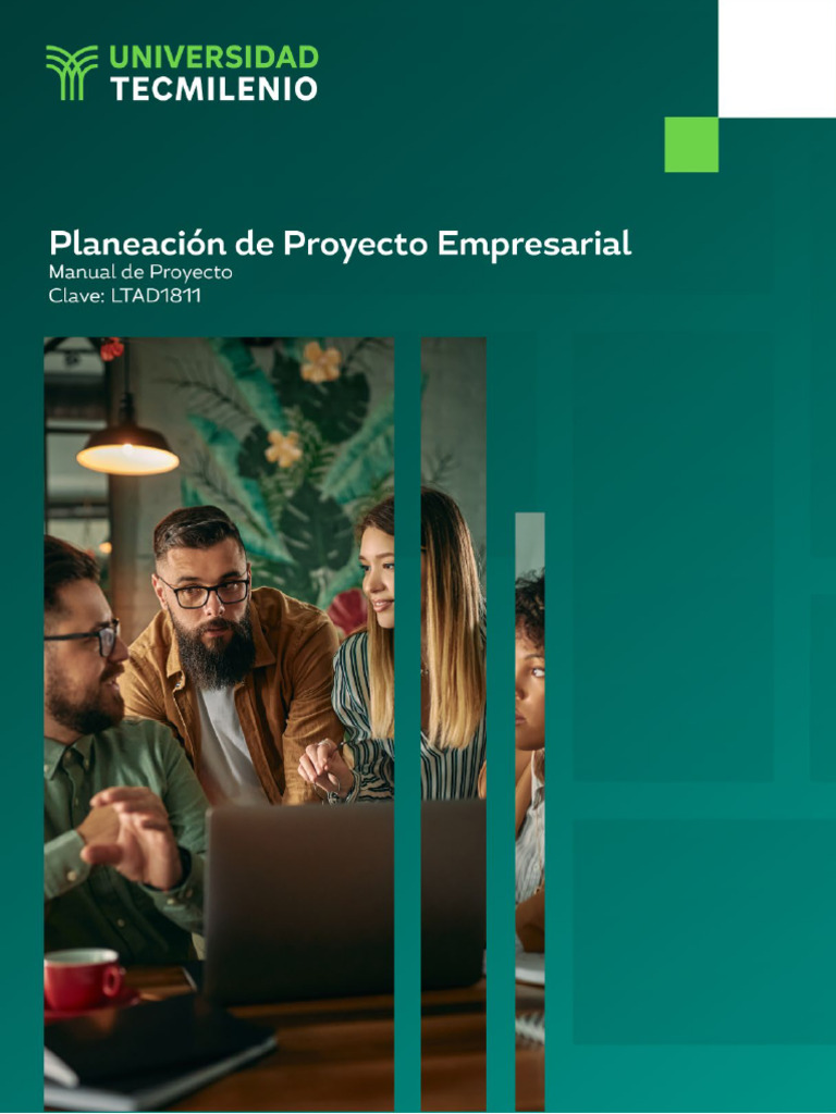 Manual de Proyecto - PPE | PDF | Planificación | Software