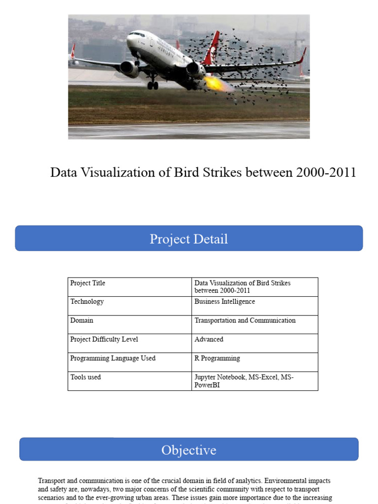 Project Report Bird Strike | PDF | Flight | Aircraft