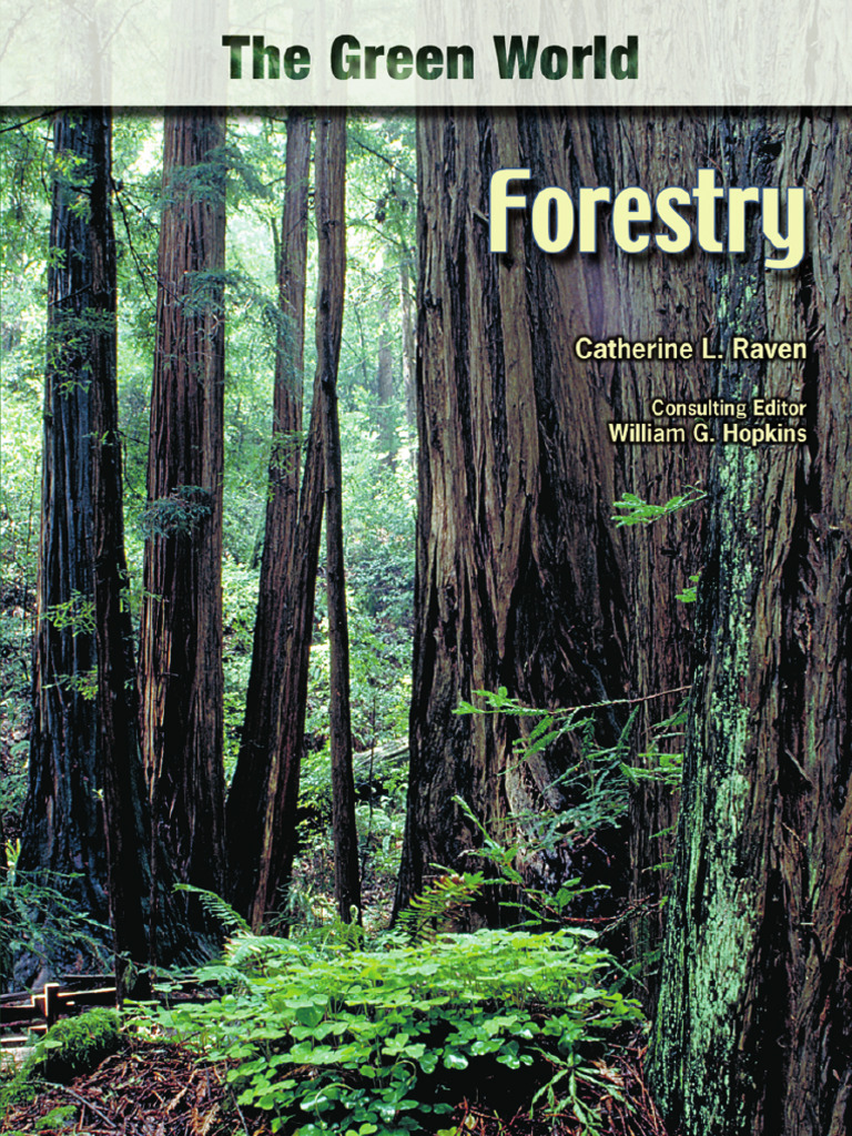 Forestry 2 | Download Free PDF | Seed | Trees