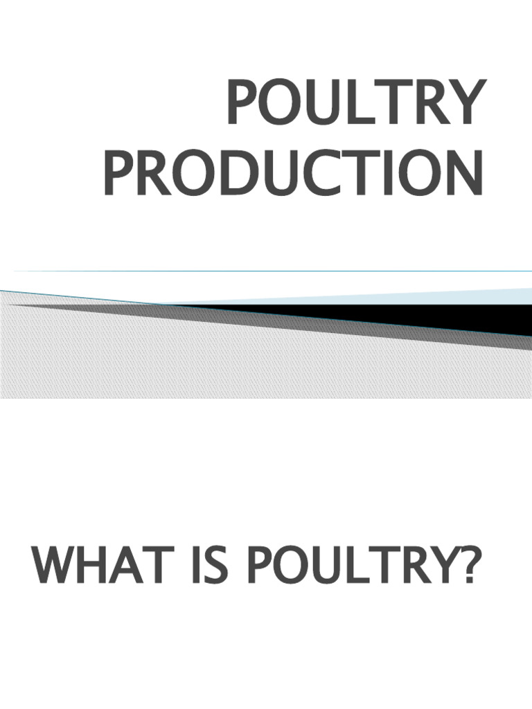 POULTRY PRODUCTION | PDF | Poultry Farming | Chicken