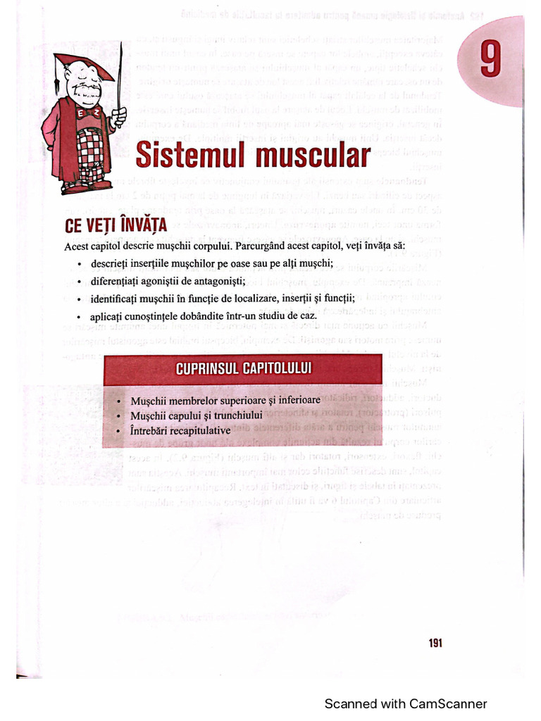 Sistemul Muscular | PDF