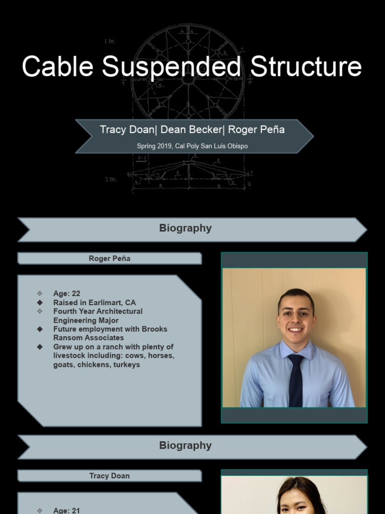 Cable Suspended Structure-Antanas Panavas | PDF | Beam (Structure) | Truss