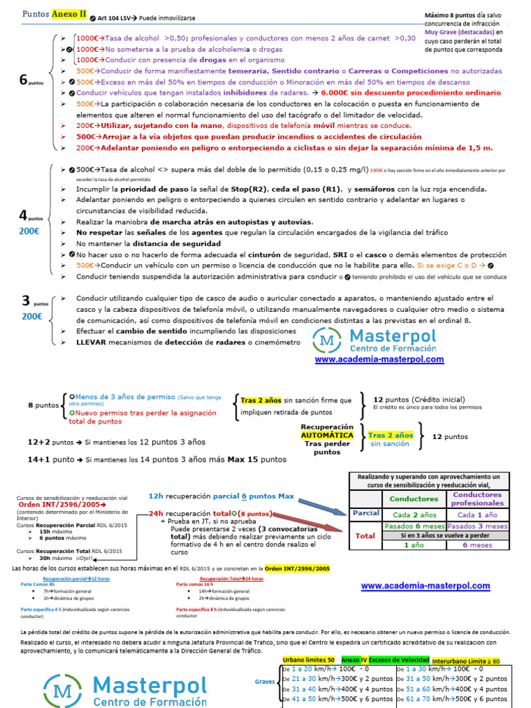 2019 Tema 29 Esquema Anexo II Puntos, III Cursos Puntos y IV Velocidades | PDF | Licencia de ...
