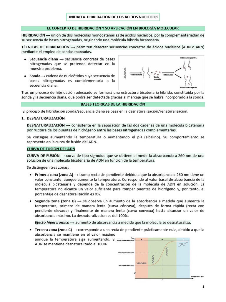 UNIDAD 4. HIBRIDACIÓN DE LOS ÁCIDOS NUCLEICOS | PDF | Hibridación de ácido nucleico | Adn