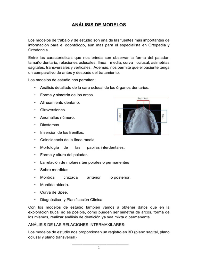Análisis de Modelos | PDF | Diente | Ortodoncia