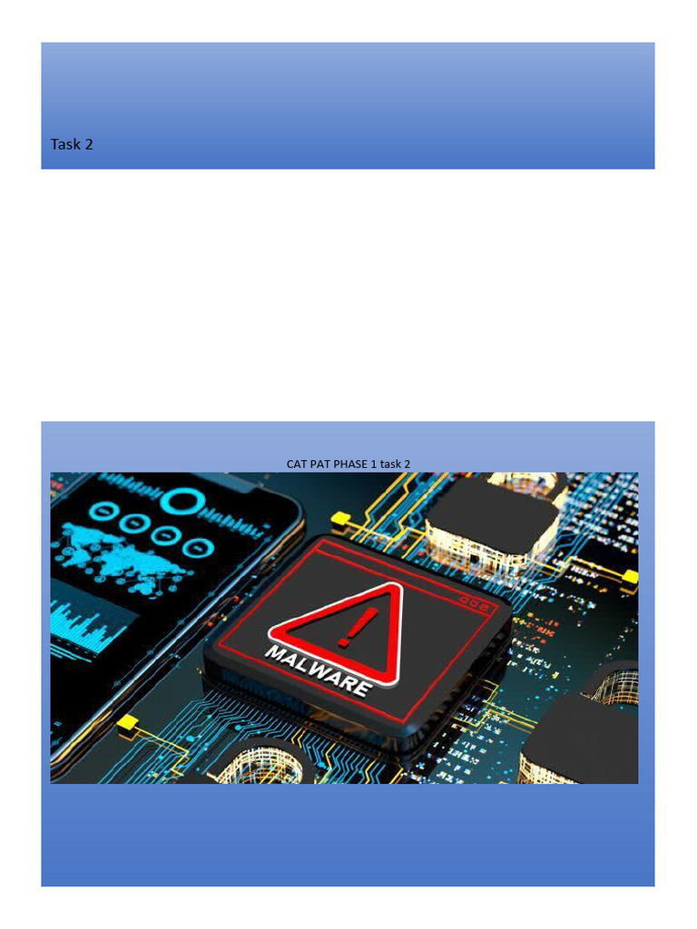 Cat Pat Phase 1 Task 2 | PDF | Malware | Computer Virus