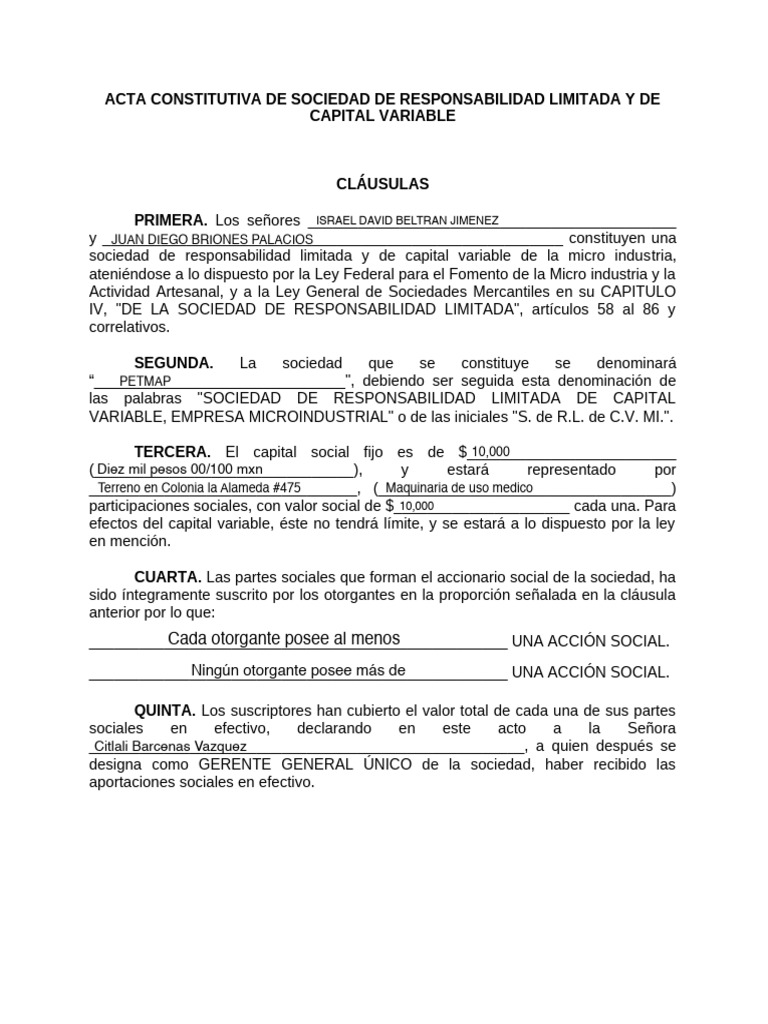 Acta Constitutiva de Sociedad de Responsabilidad Limitada y de Capital | PDF | Contabilidad ...