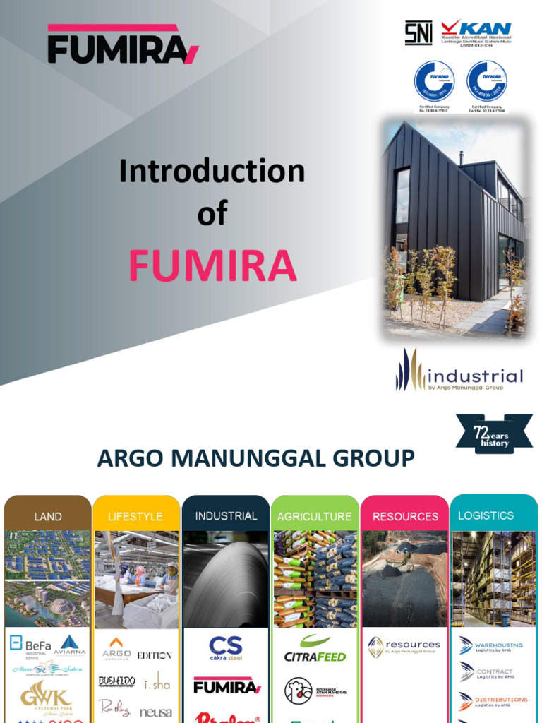 Introduction Fumira For Projects PELINDO | PDF | Galvanization | Zinc