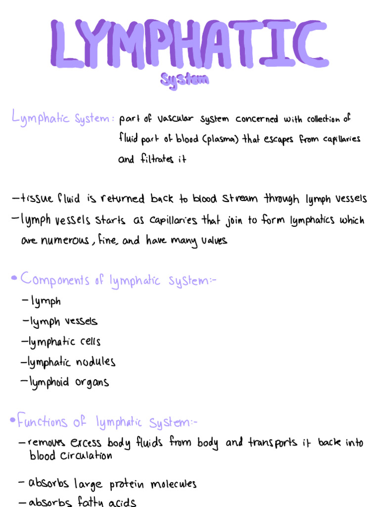 Lymphatic System | PDF