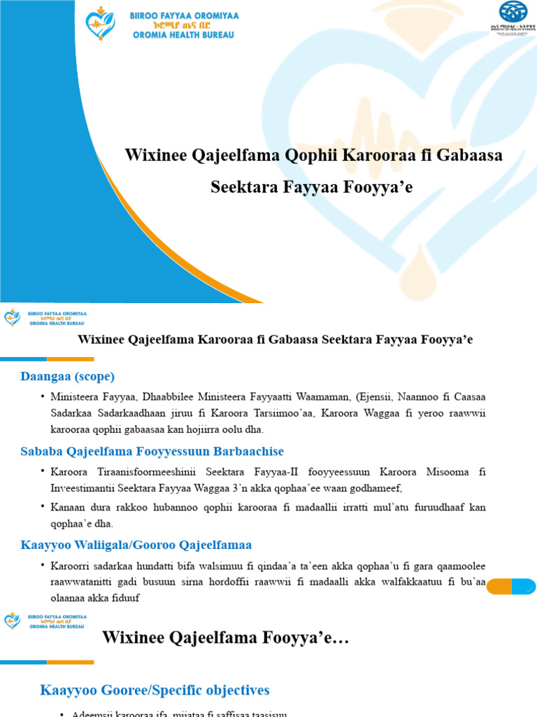 Qajeefama Karoora Aanaa - BFO | PDF