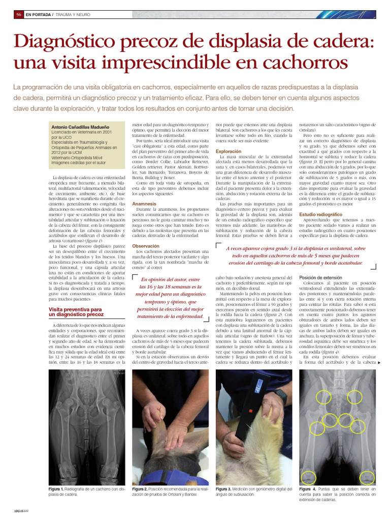 2021-null | PDF | Rodilla | Sistema musculoesquelético