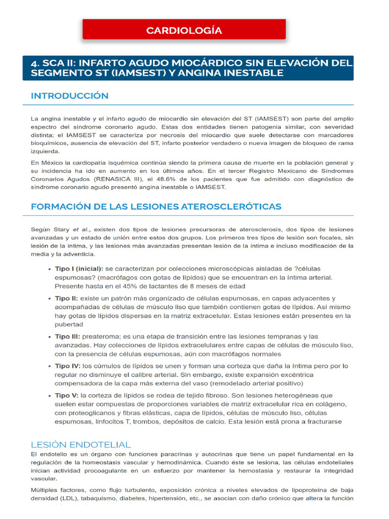 Cardio 4 | PDF