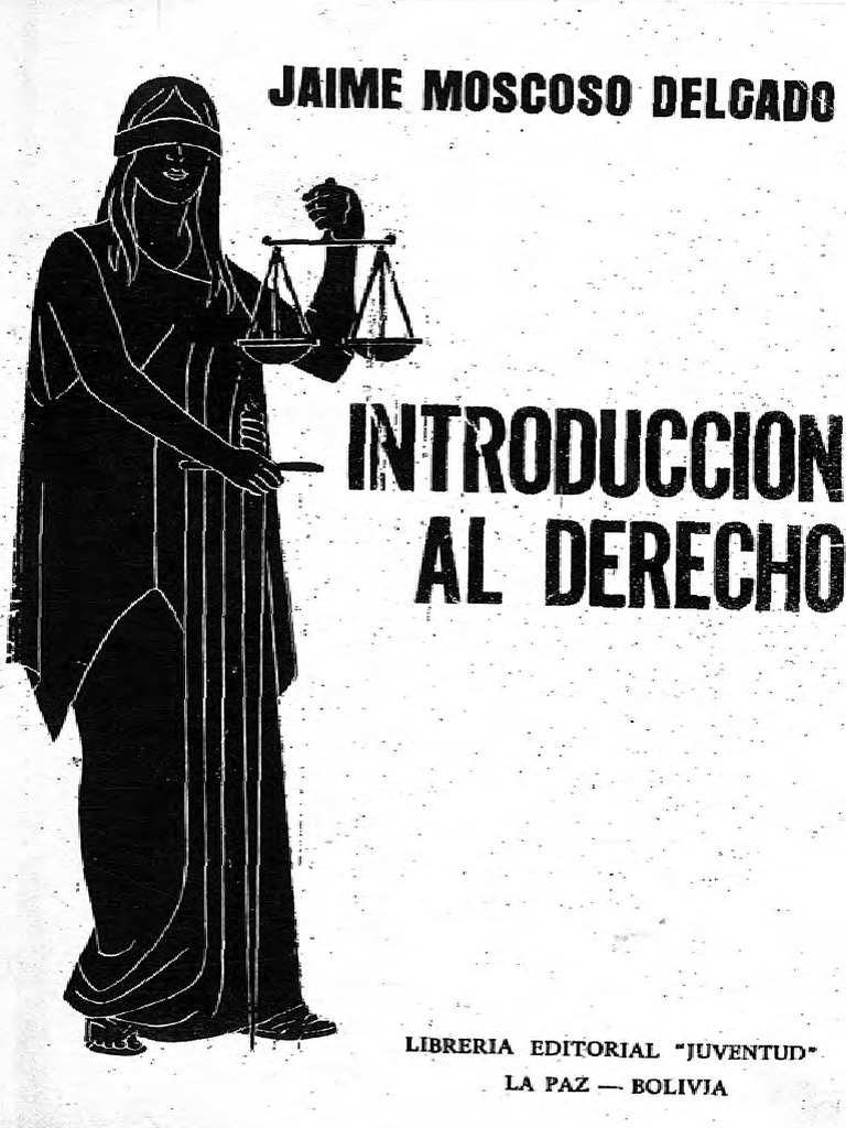 Introducción Al Derecho Pdf