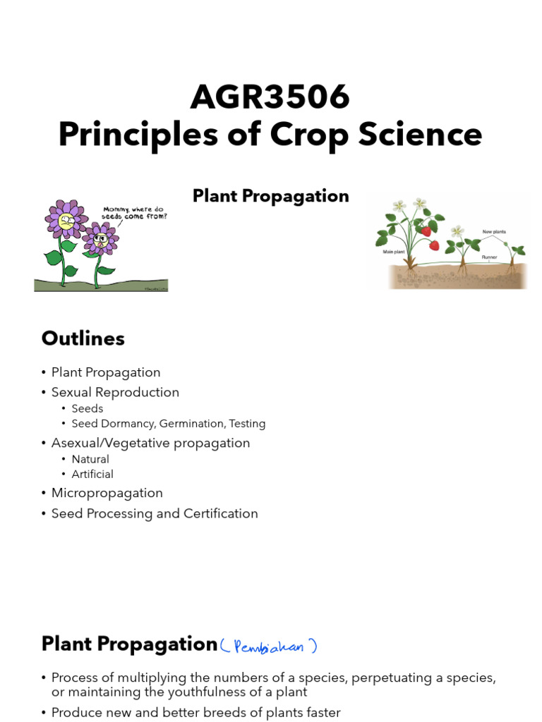 Seed Processing and Sexual Propagation | PDF | Seed | Germination