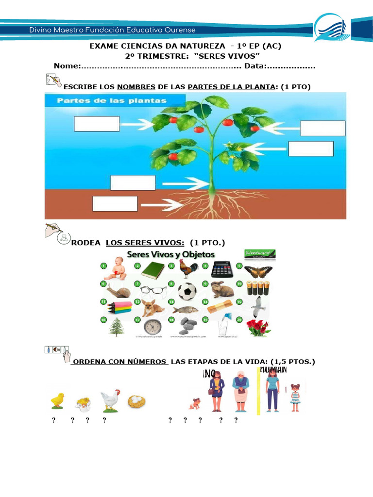 Ciencias Naturais 1º Ep (Ac) Seres Vivos | PDF | Cocina, comidas y vino ...