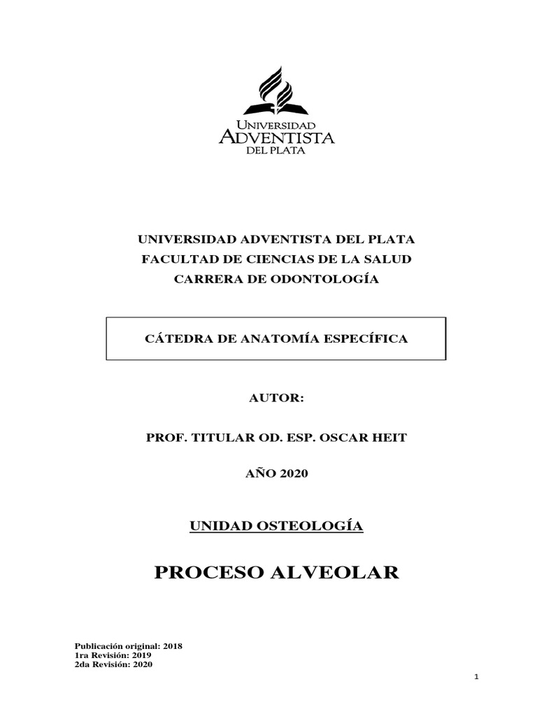 Anatomía del Proceso Alveolar en Odontología | PDF | Hueso | Diente