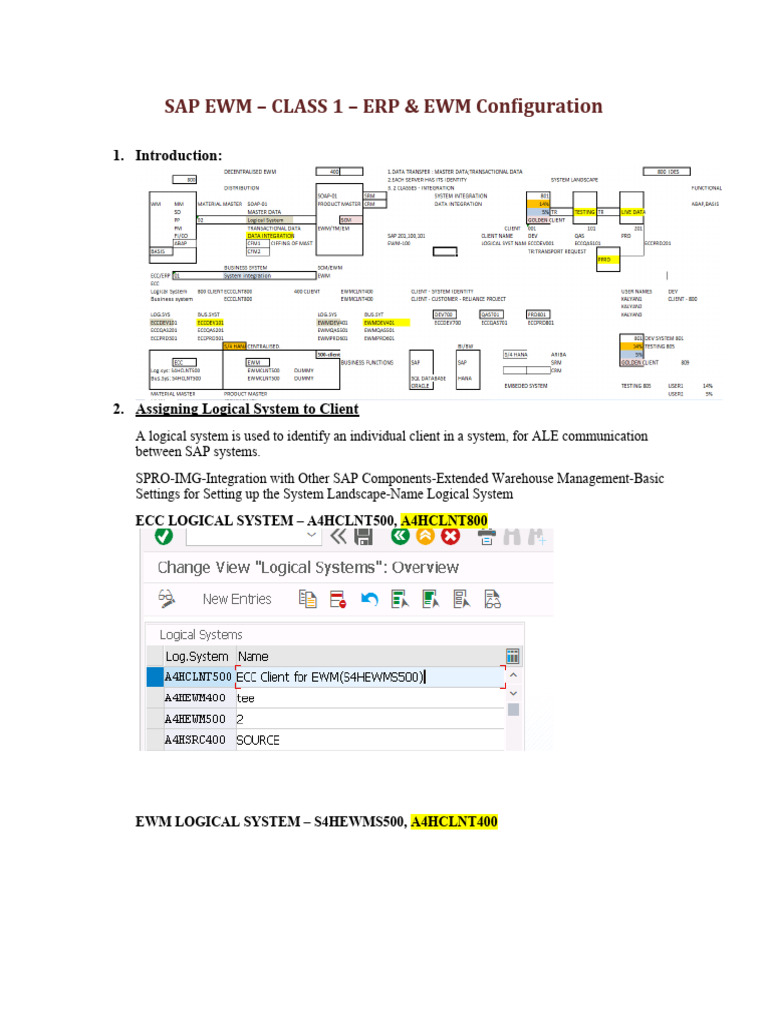 SAP EWM Configuration Guide | PDF | Warehouse | Computer Science