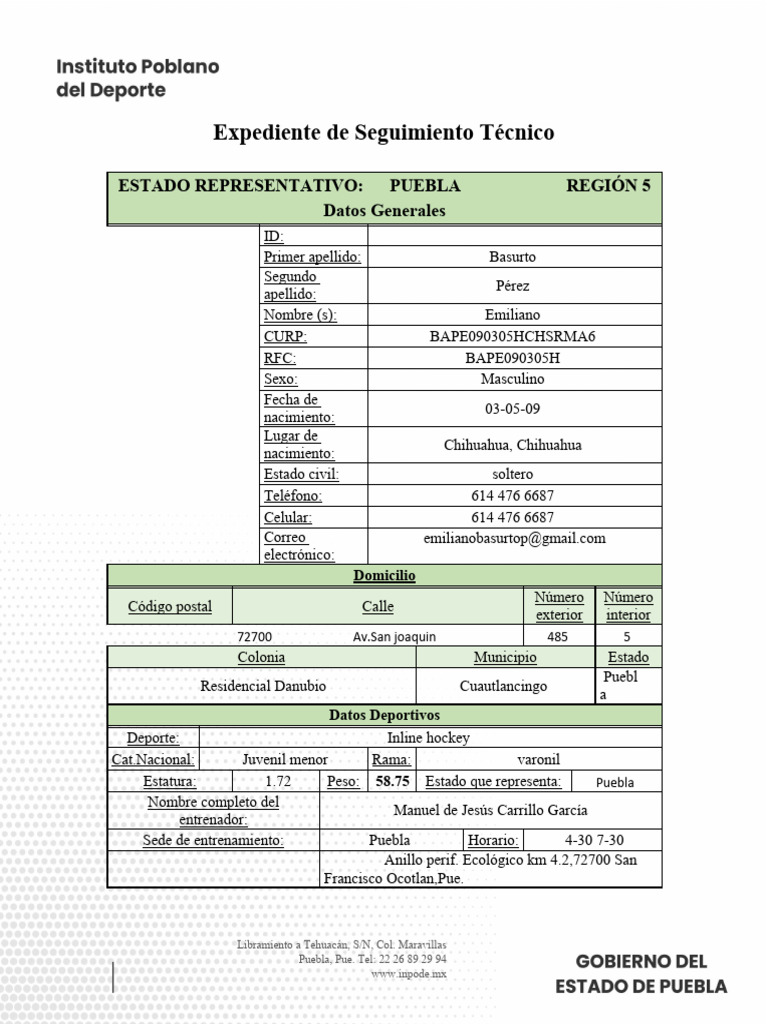 Formato de Fichas Técnicas (2) | PDF