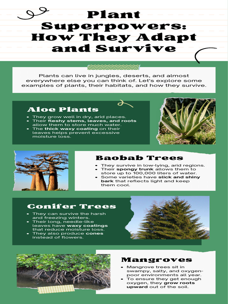 Plant Superpowers How They Adapt and Survive Education Infographic in ...