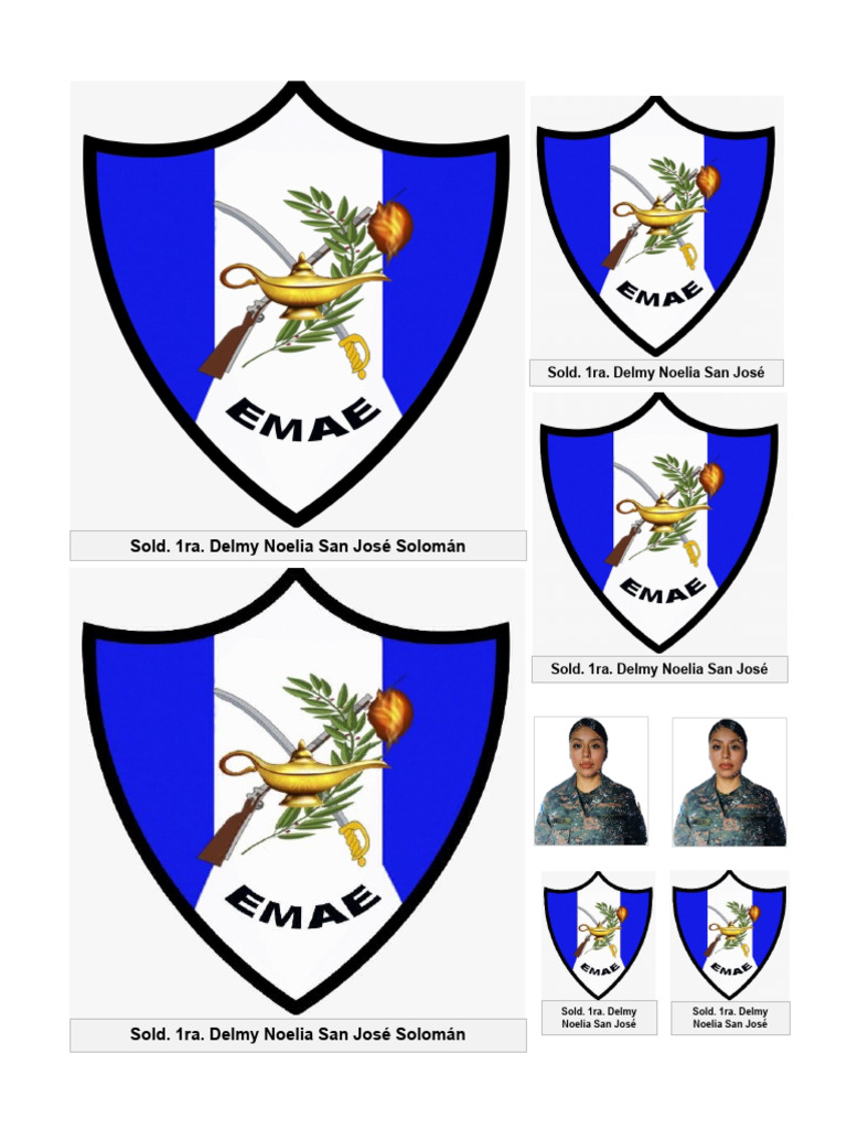 EMAE | PDF
