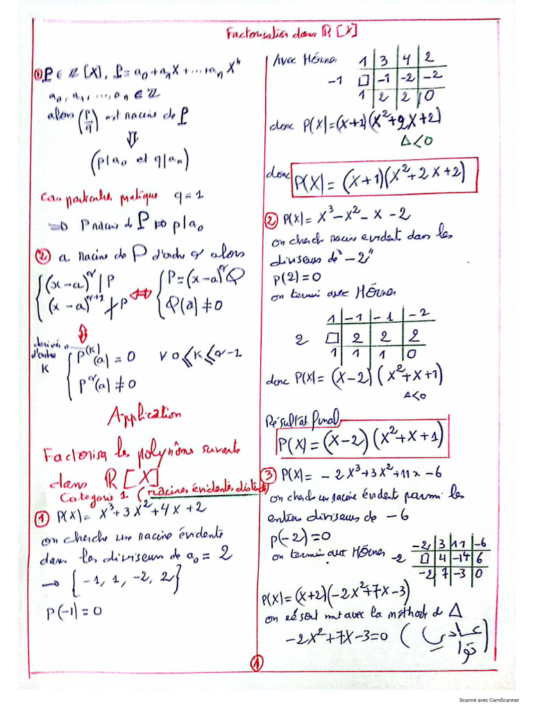 Factorisation Des Polynômes | PDF