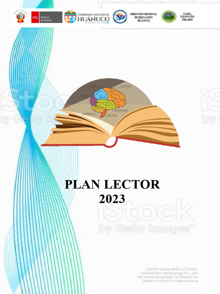 1 Plan Lector - 2024 | PDF | Educación primaria | Evaluación