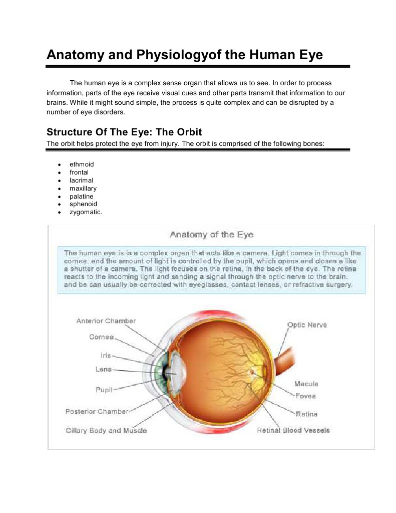 Anatomy and Physiology of The Human Eye | PDF | Human Eye | Cornea