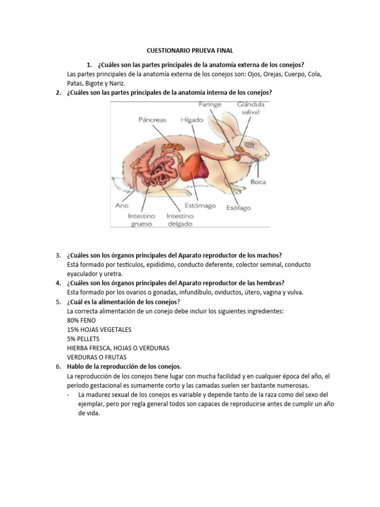 Cuestionario Prueva Final | PDF | Sistema reproductivo | Reproducción