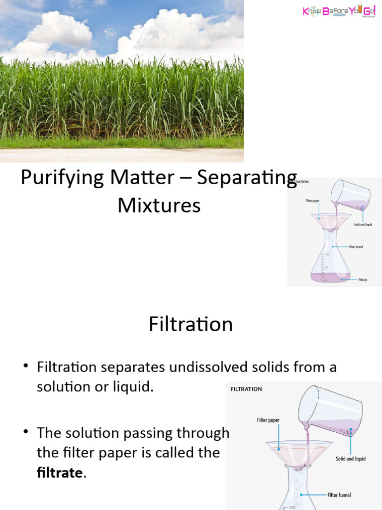 Purifying Matter - Separating Mixtures | PDF | Distillation | Filtration